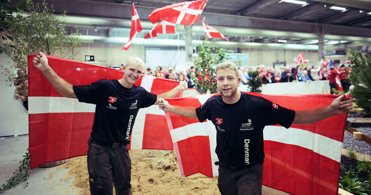 Magnus og Nikolaj opnår Medallion of Excellence til EuroSkills